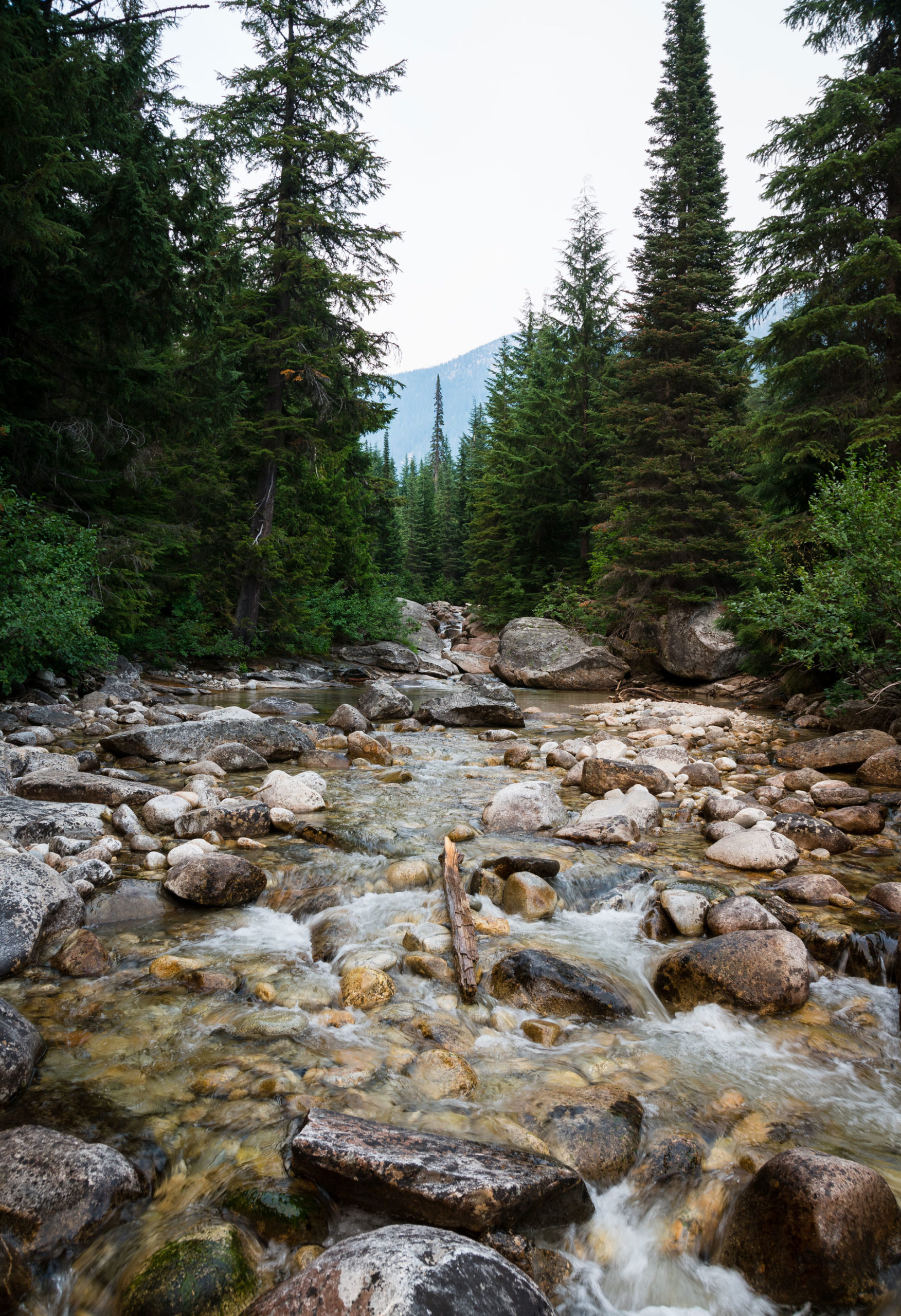 The-Upper-Pack-River-is-hikeable-only-when-water-levels-are-low.-3867 ...