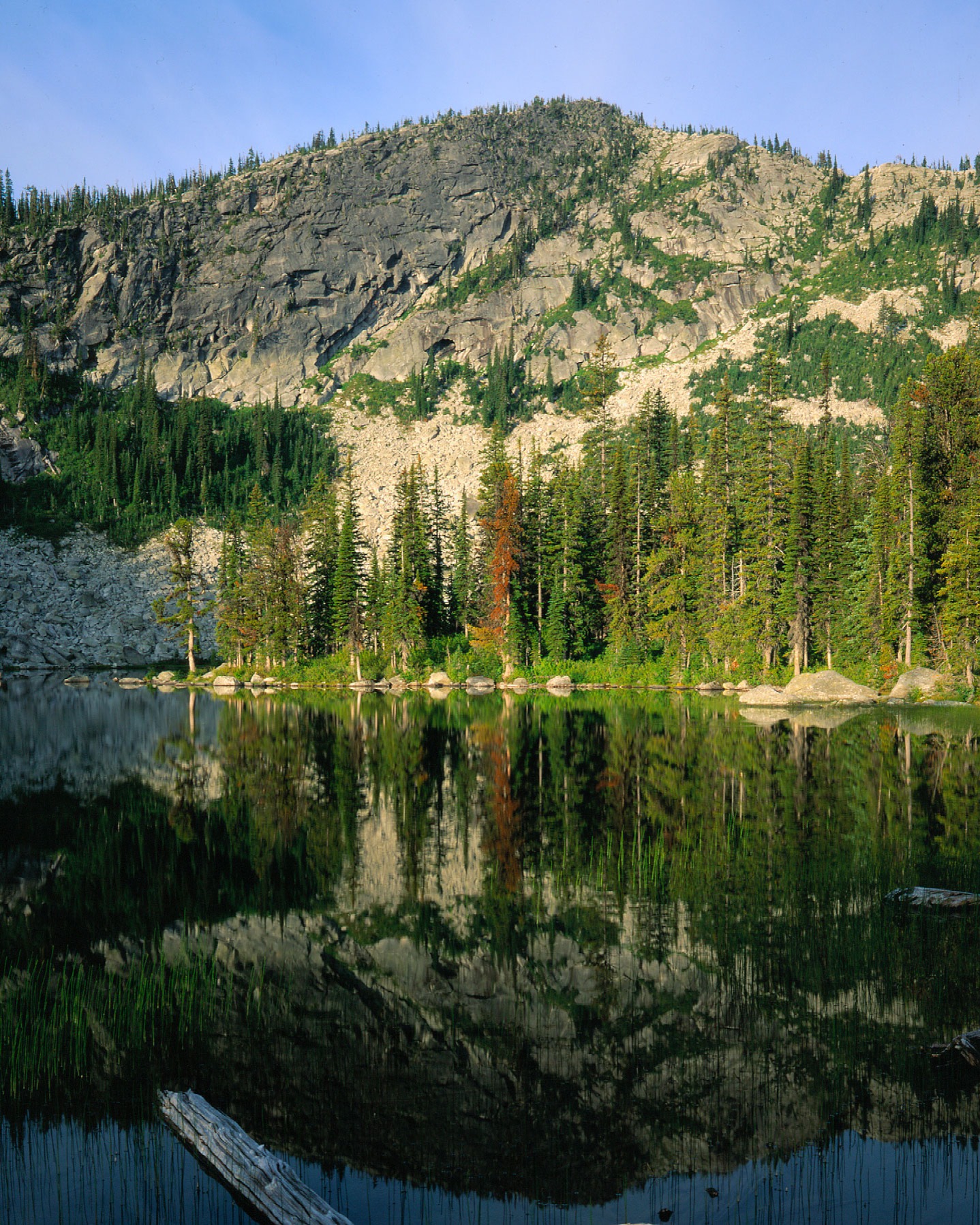 Canfield Mountain Trail System, Coeur d’Alene - Nspire Magazine ...